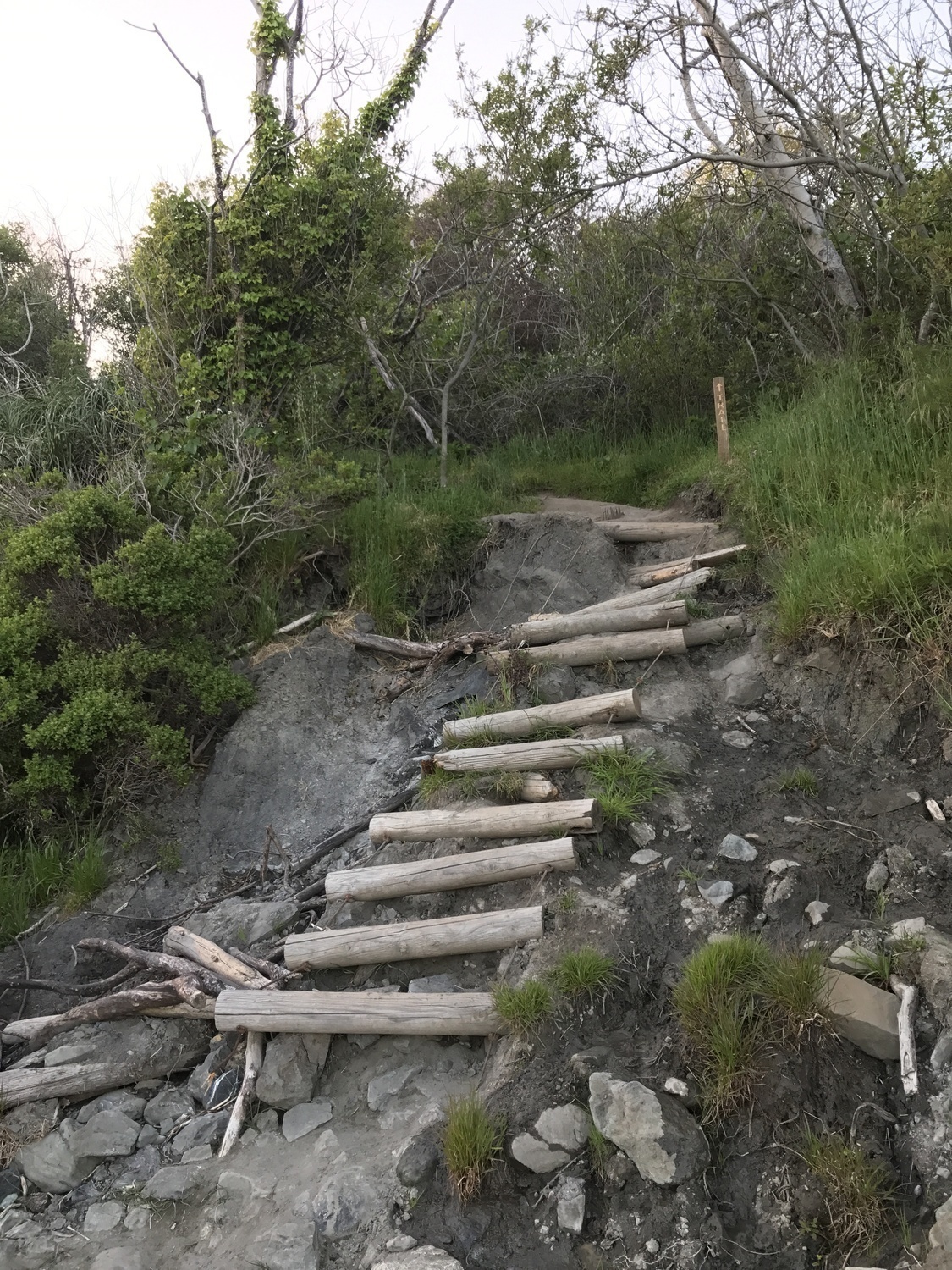 The less substantial steps to the beach can be muddy and steep.