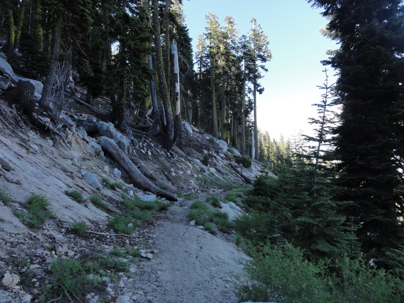Bingham Lake Trail